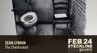 Steckline Gallery presents the work of Sean Lyman at Feb. 24 Final Friday