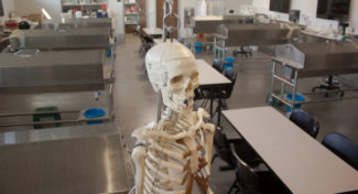 Cadaver lab is important training tool