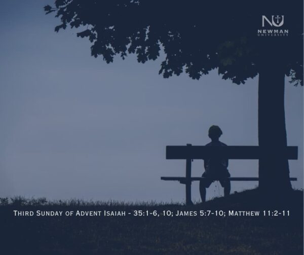 Week 3 of Advent reflections: Preparing our hearts