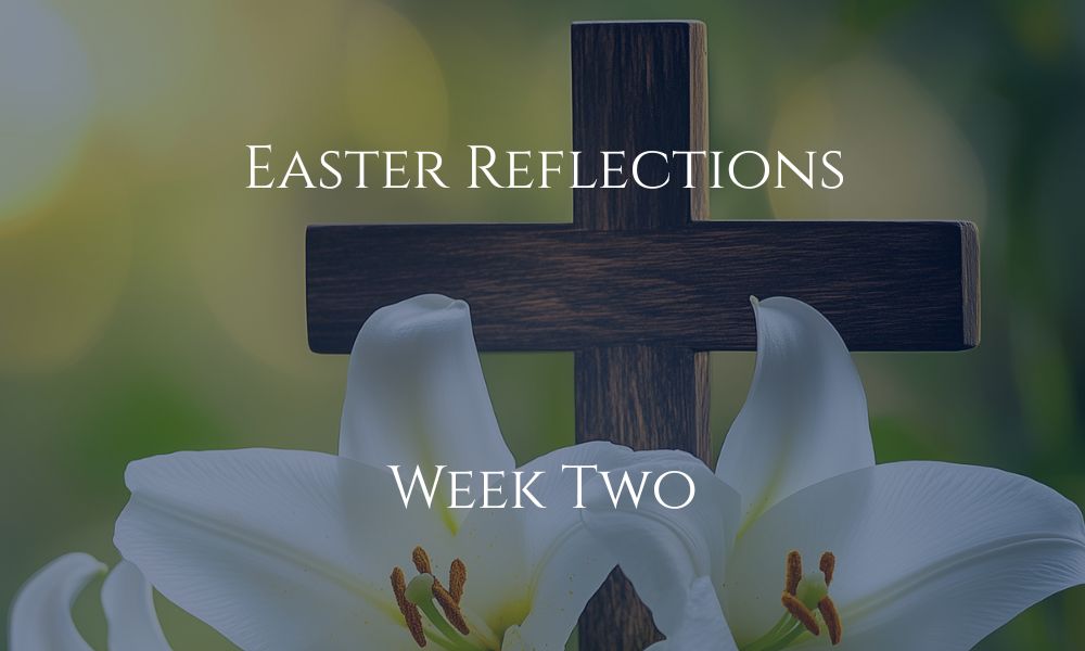 Newman University community reflects on peace, faith and service during ...